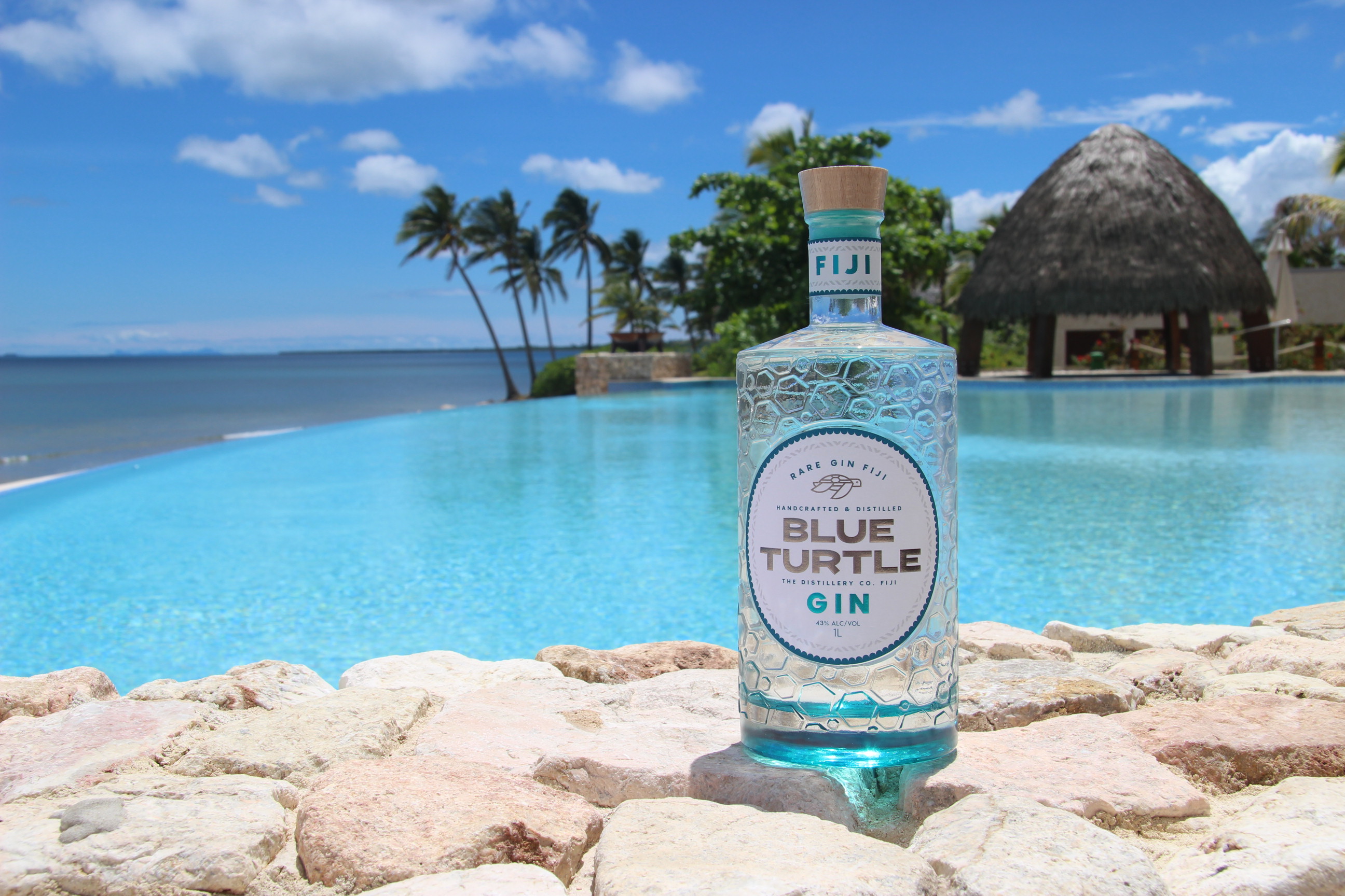 What makes Blue Turtle Gin unique? : The Distillery Co. Fiji